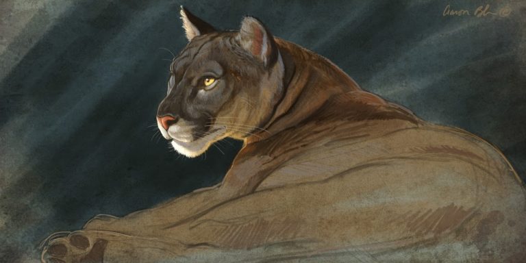 Painting Dramatic Animal Portraits - The Art of Aaron Blaise