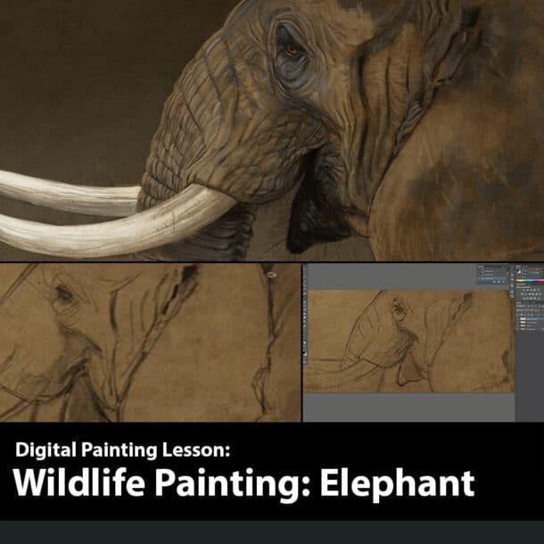 Photoshop Wildlife Painting Series - 1 - The Art of Aaron Blaise