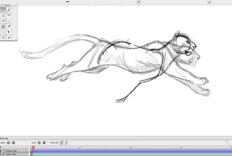 How To Animate A Four Legged Run Cycle - Animation Tutorial