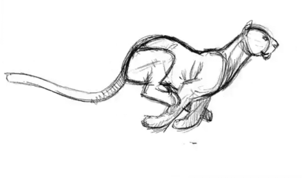 How To Animate A Four Legged Run Cycle - Animation Tutorial