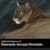 Painting Dramatic Animal Portraits - The Art of Aaron Blaise