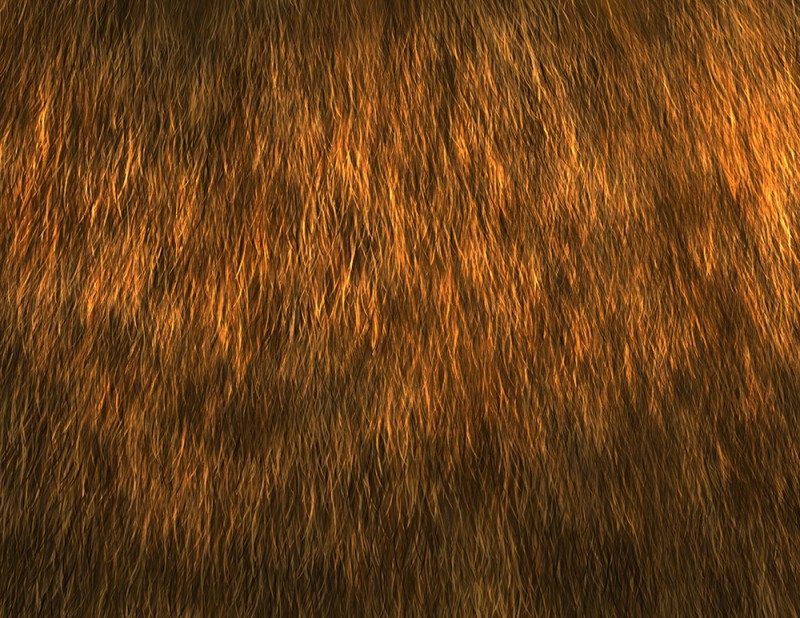 Custom Photoshop Brushes - Directional Hair / Fur Volume 2 - The Art of ...