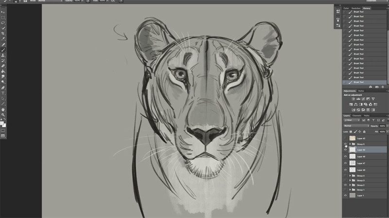 How to Draw Big Cats - Animal Drawing Course by Aaron Blaise