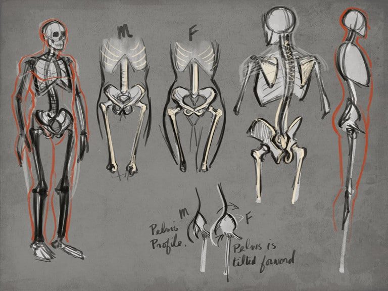 How to Figure Drawing Tutorial - Drawing Human Anatomy Lessons