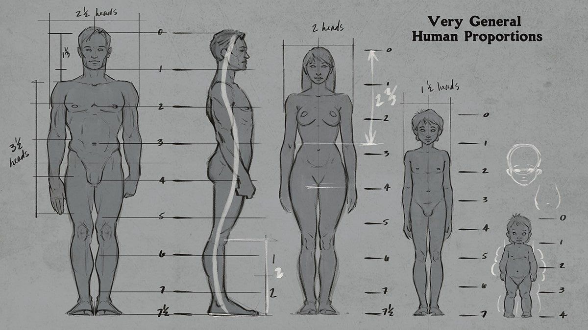 How To Draw Human Anatomy Program Wesvendor How To Draw Human Anatomy Program Wesvendor