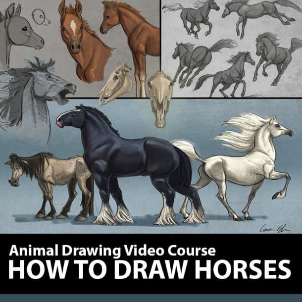 How to Draw Horses Course - The Art of Aaron Blaise