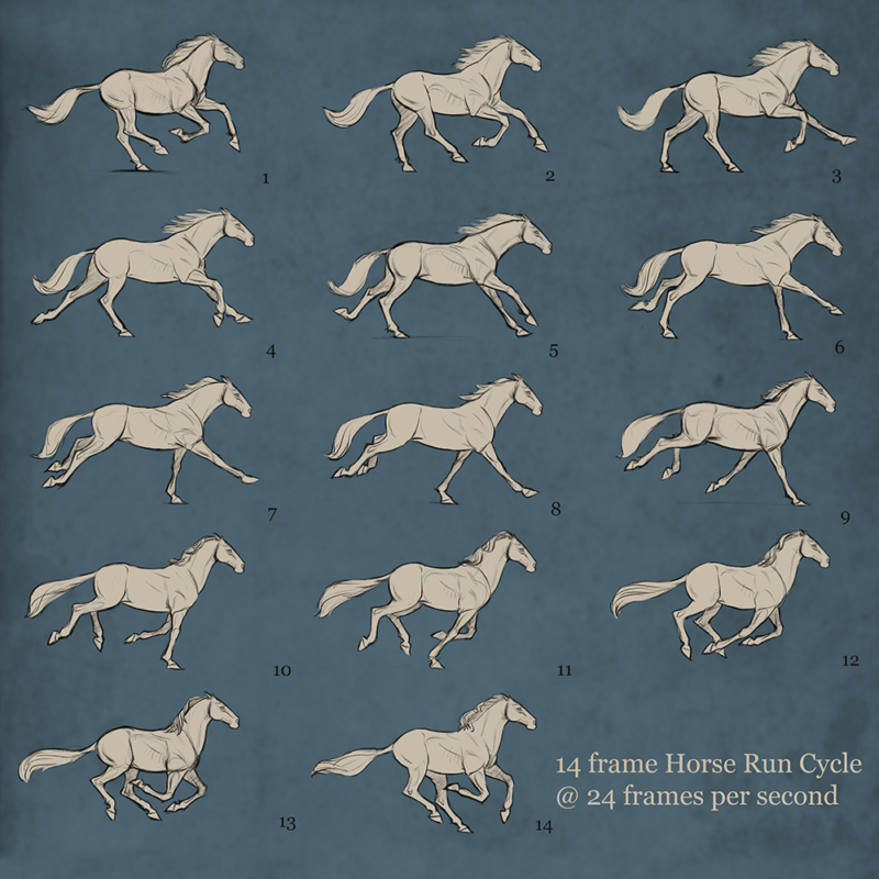 "Horse Run Key Frames" Poster - The Art of Aaron Blaise