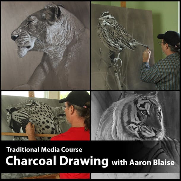 Charcoal Drawing Lessons with Aaron Blaise | How to Draw with Charcoal