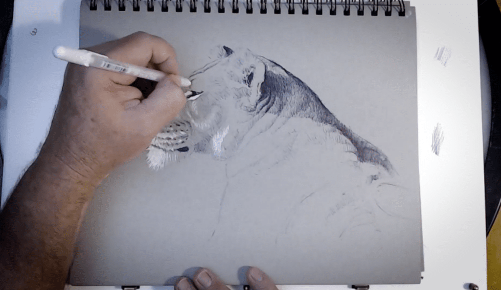 Pen & Ink Drawing with Aaron Blaise #inktober Tutorial Drawing Lessons