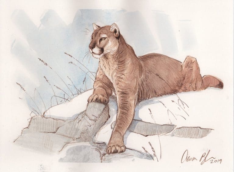Watercolor Painting Course with Aaron Blaise | On Sale!