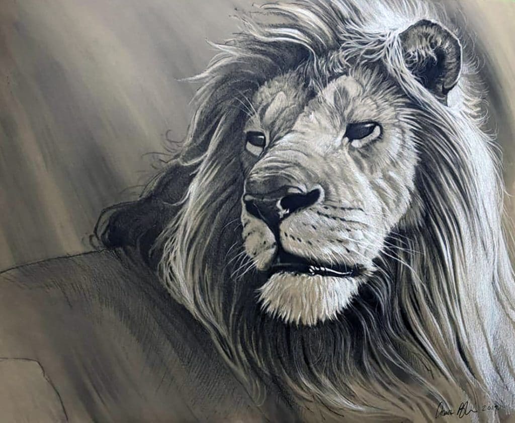 "Lion Charcoal" Proko Masterpiece - Framed Original - The Art of Aaron ...