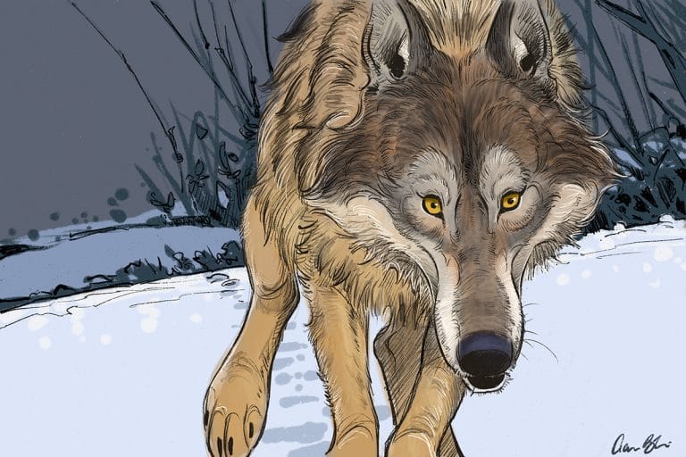 Procreate Course: Creating Art & Animation with Aaron Blaise