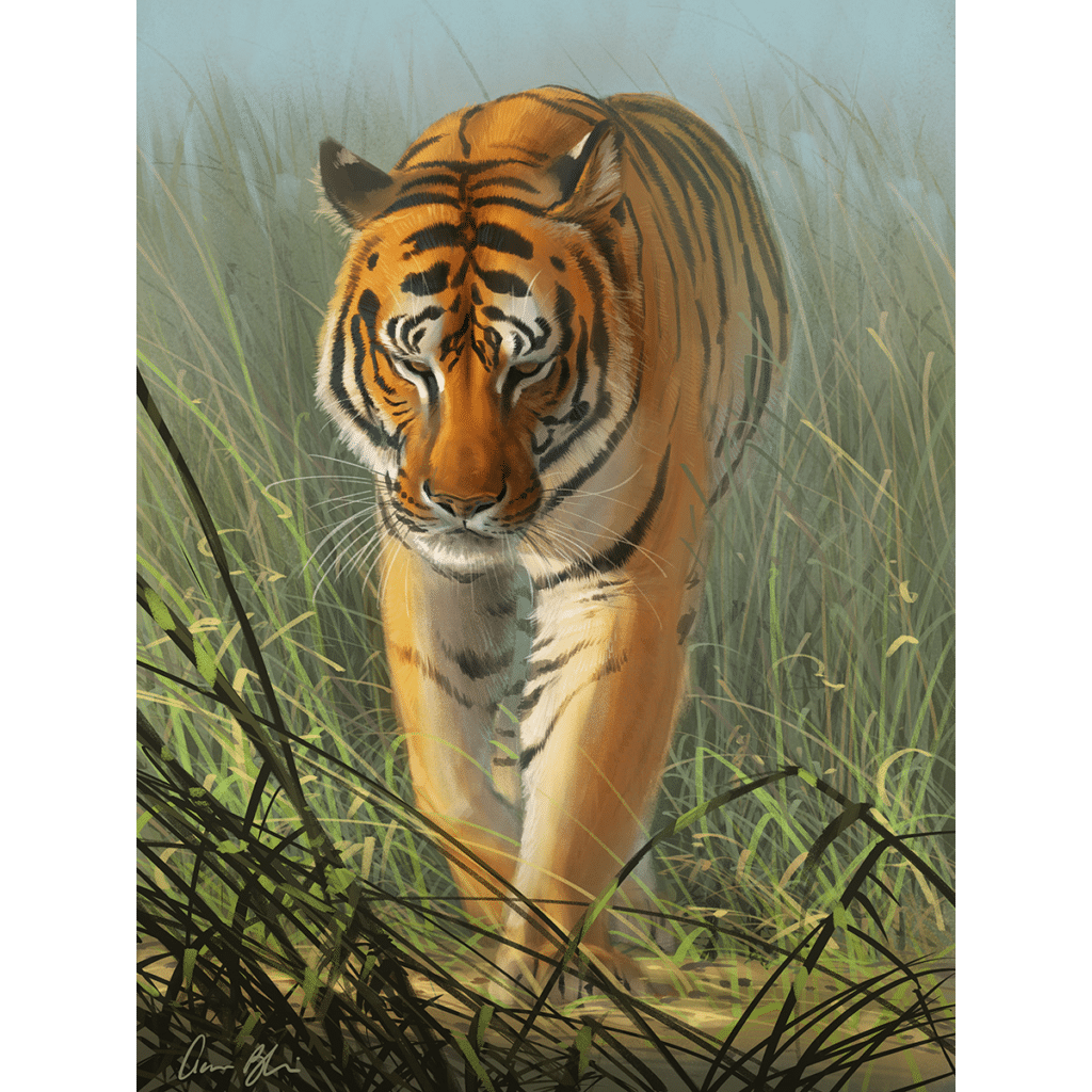 Tiger Mist by Aaron Blaise - The Art of Aaron Blaise