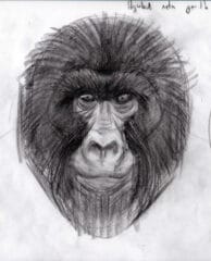 Animal Character Design with David Colman - The Art of Aaron Blaise