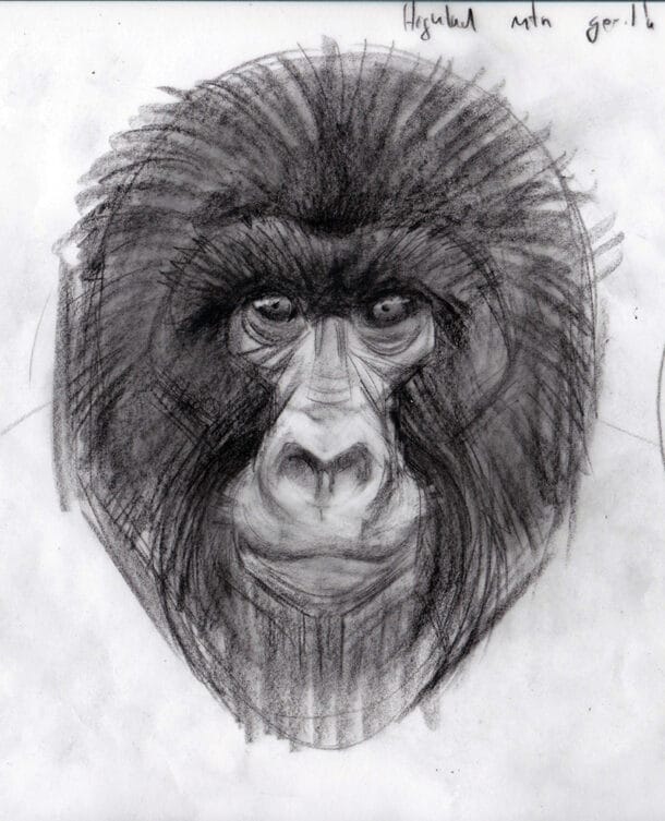 Animal Character Design with David Colman - The Art of Aaron Blaise