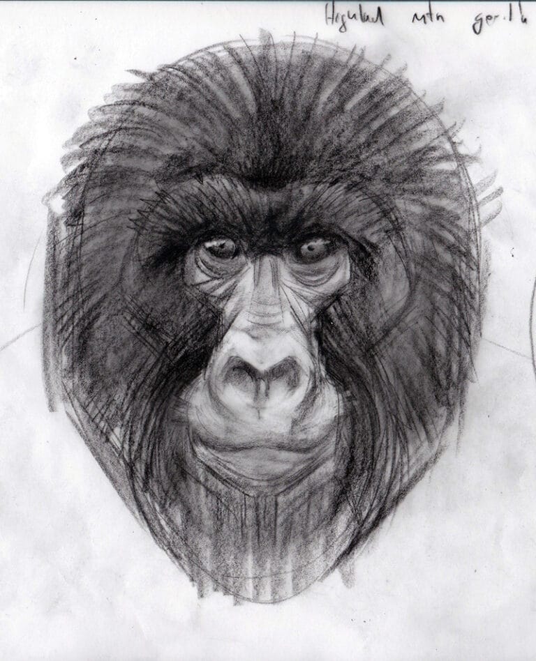 Animal Character Design with David Colman - The Art of Aaron Blaise