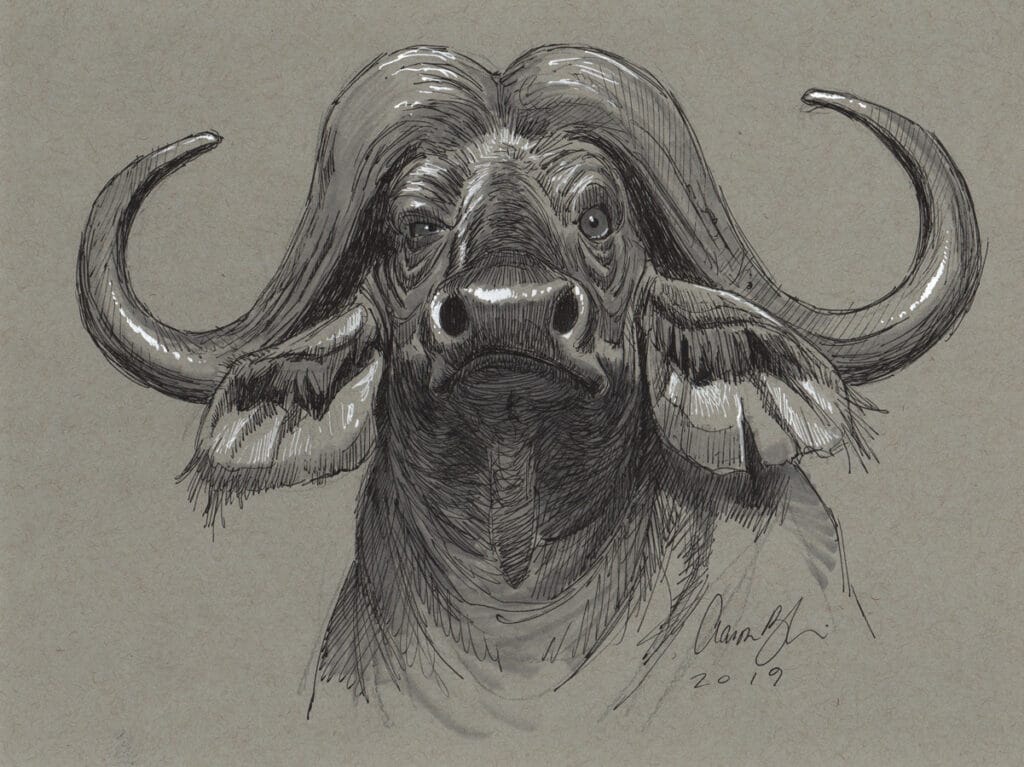 Aaron Blaise: 100 Drawings (Book) - The Art of Aaron Blaise