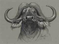 Aaron Blaise: 100 Drawings (Book) - The Art of Aaron Blaise