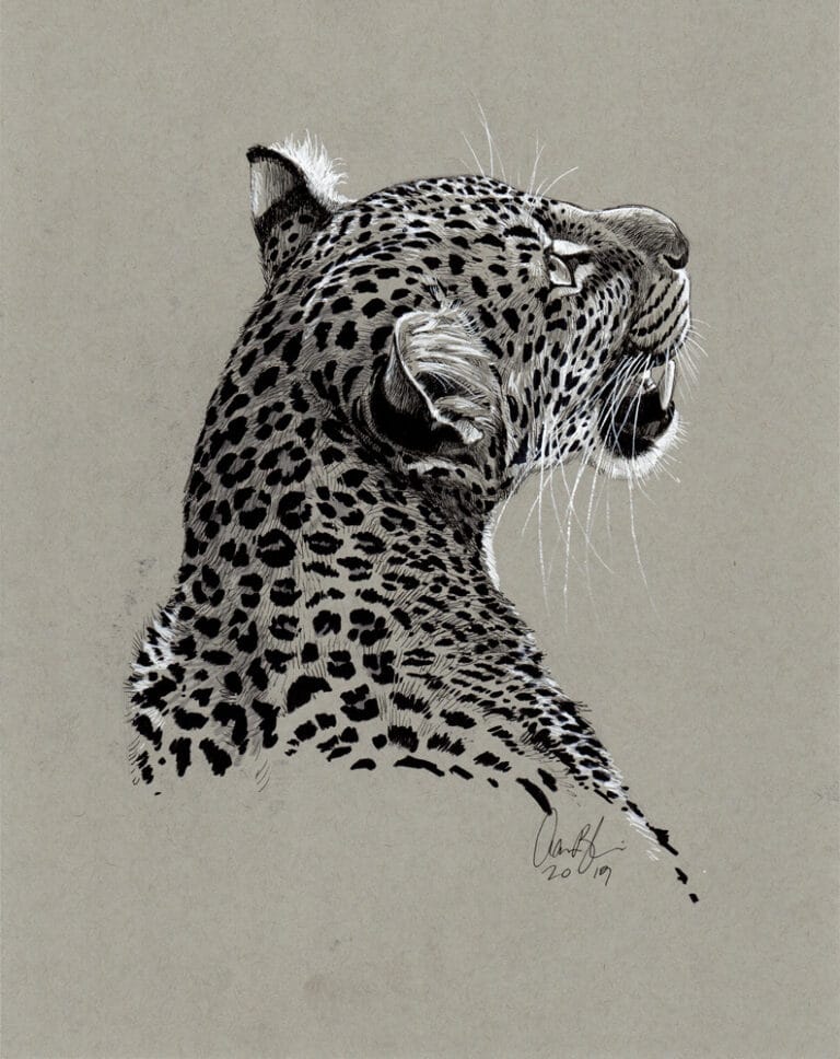 Aaron Blaise: 100 Drawings (Book) - The Art of Aaron Blaise