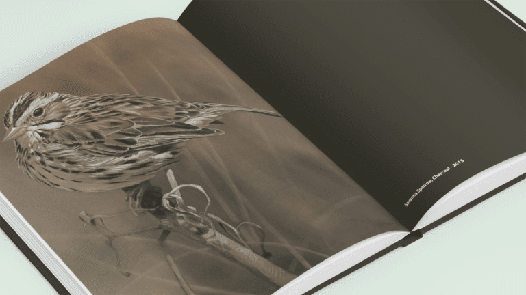 The Art of Aaron Blaise: Vol. 1 (Book) - The Art of Aaron Blaise