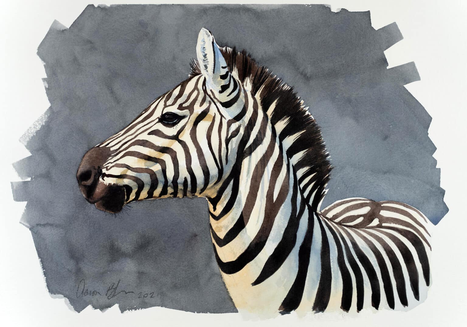 Zebra Watercolor 2021 - The Art of Aaron Blaise