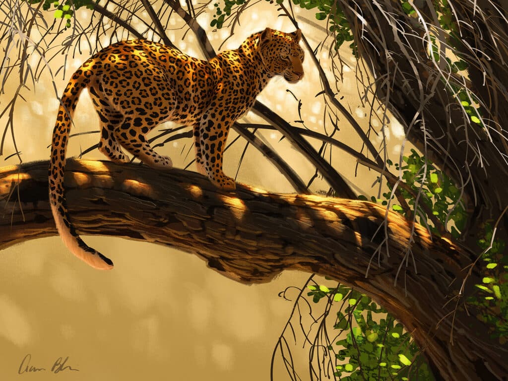 "Leopard in Tree" Signed & Numbered Print (limit 50) - The Art of Aaron ...