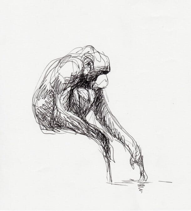 Drawing with Life, Energy and Story by David Colman - ON SALE