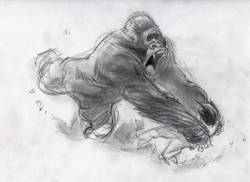 Drawing with Life, Energy and Story by David Colman - ON SALE