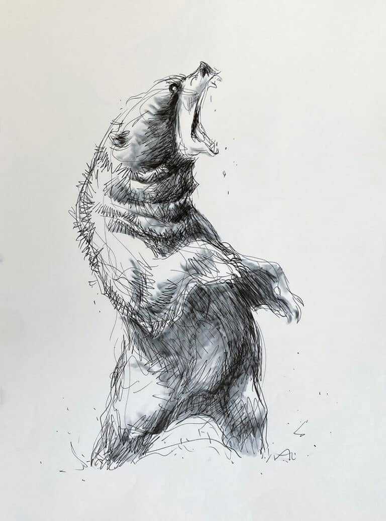 Drawing with Life, Energy and Story by David Colman - ON SALE