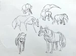 Drawing with Life, Energy and Story by David Colman - ON SALE