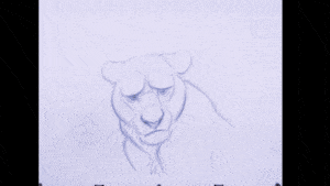 Big Cat Animation Demo (Set of 10 Drawings + Expression Sheet) - The ...