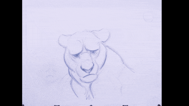 Big Cat Animation Demo (Set of 10 Drawings + Expression Sheet) - The ...