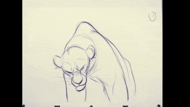 Big Cat Animation (10 Drawings) - The Art of Aaron Blaise