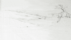 Pogo Animation Shot (33 Drawings) - The Art of Aaron Blaise