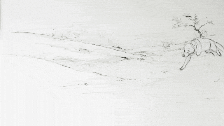 Pogo Animation Shot (33 Drawings) - The Art of Aaron Blaise