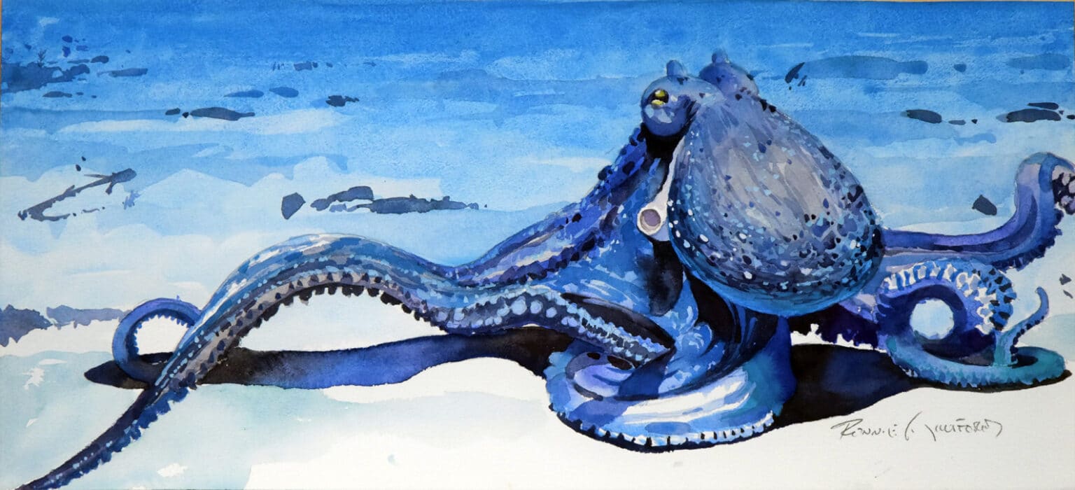 Blue Octopus (Watercolor) - The Art of Aaron Blaise