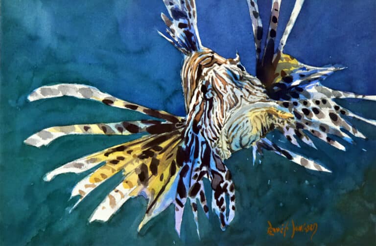 Lionfish (Watercolor) - The Art of Aaron Blaise