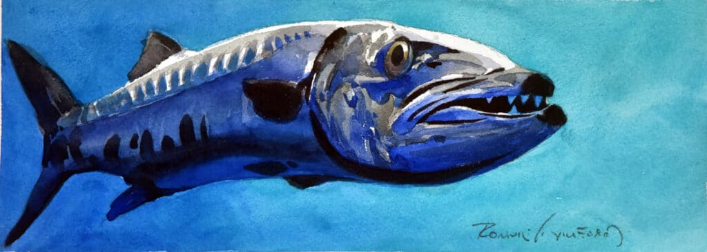 Cuda (Watercolor) - The Art of Aaron Blaise