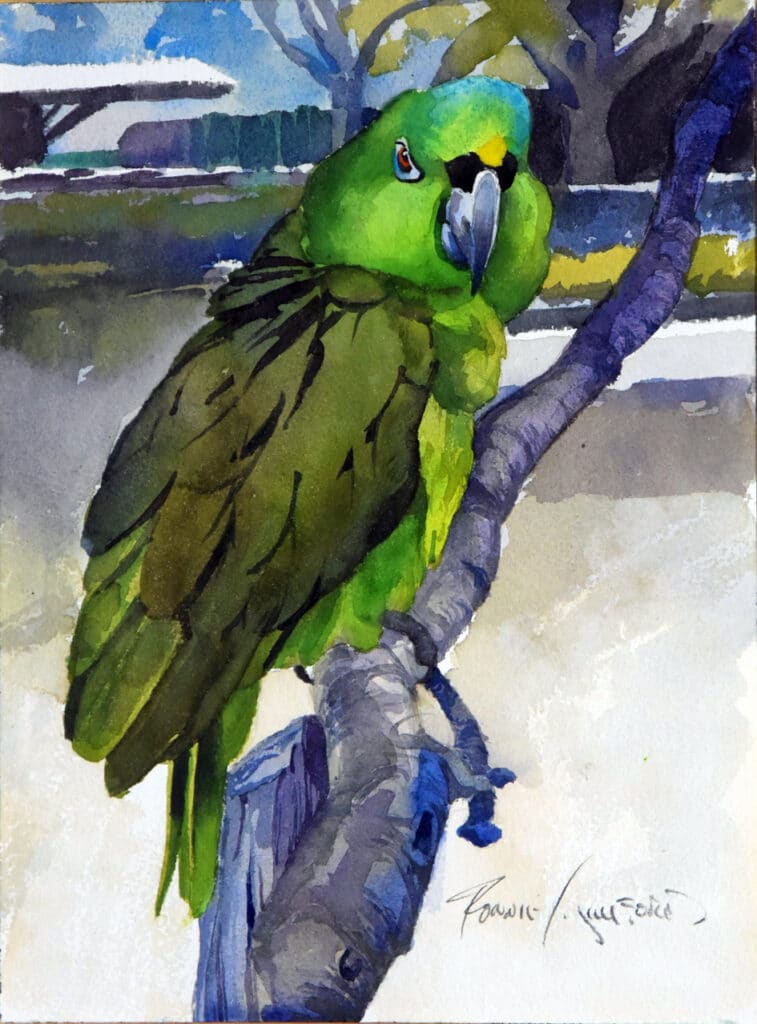 Blue Front Amazon Parrot (Watercolor) - The Art of Aaron Blaise