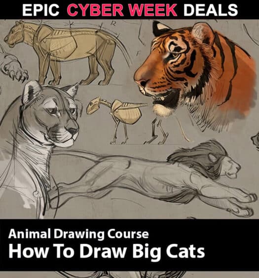 How to Draw Big Cats - Animal Drawing Course by Aaron Blaise