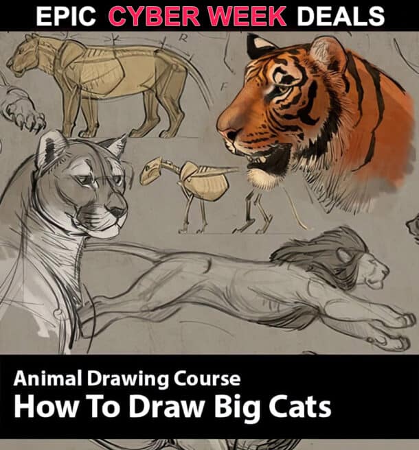 How to Draw Big Cats - Animal Drawing Course by Aaron Blaise