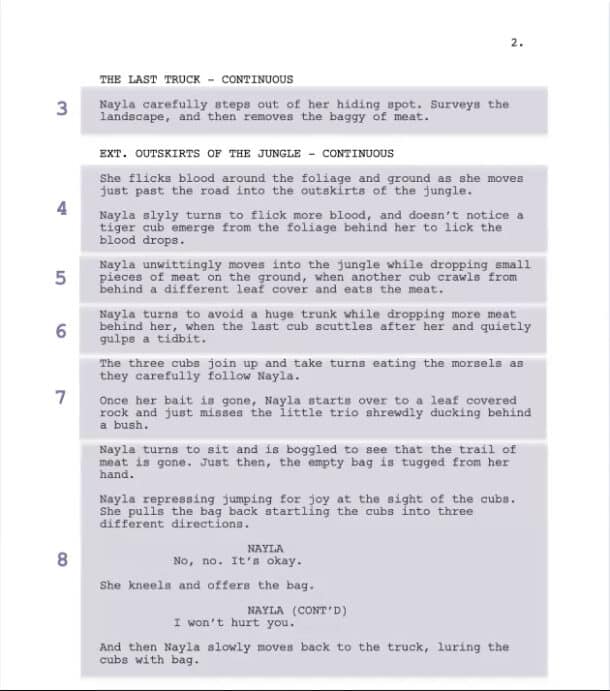 NEW: Story & Screen Writing Course - ON SALE!