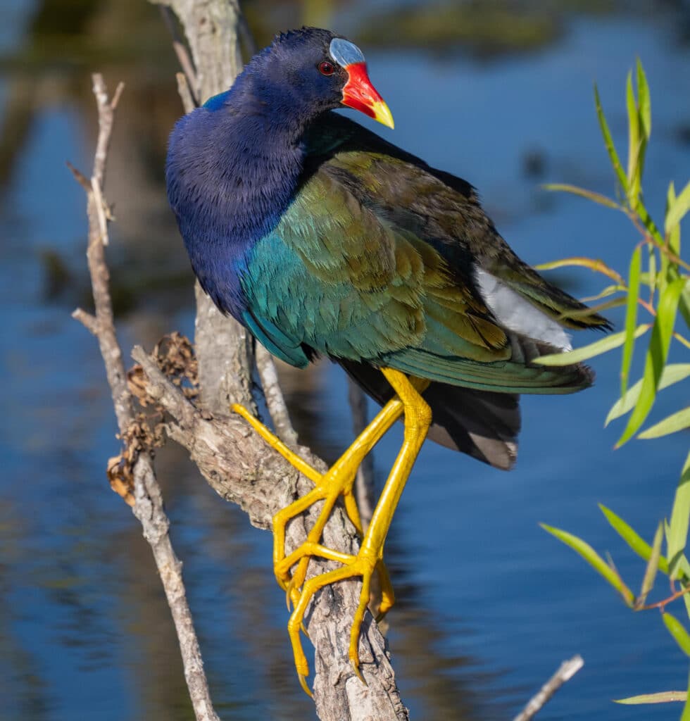 Artist Photo Reference: Massive Pack Over 4 Gigs of Images