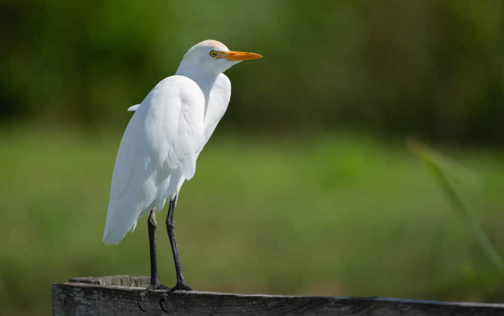 Artist Photo Reference: Massive Pack Over 4 Gigs of Images