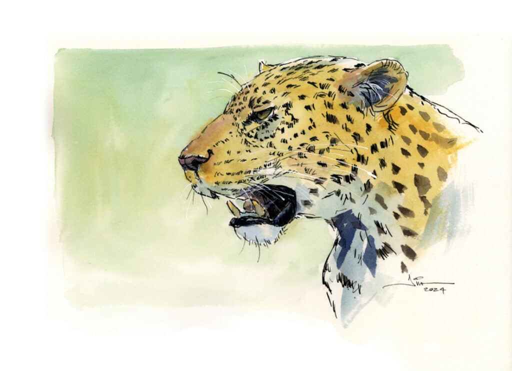 Pen & Ink Tips & Techniques with Tim Hodge! Now On Sale
