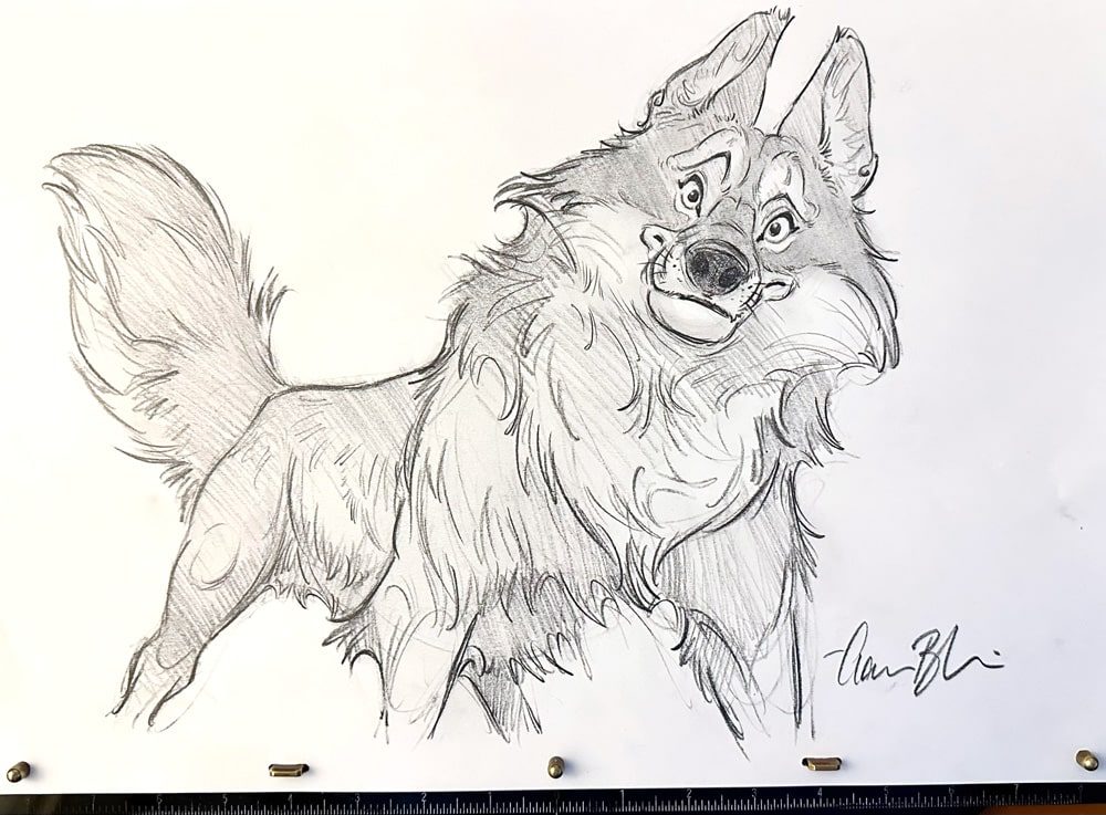 Fun Wolf Original Drawing By Aaron Blaise The Art Of Aaron Blaise