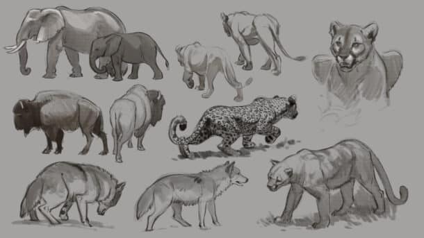 How to Draw Animals from LIFE: Secrets from Aaron Blaise