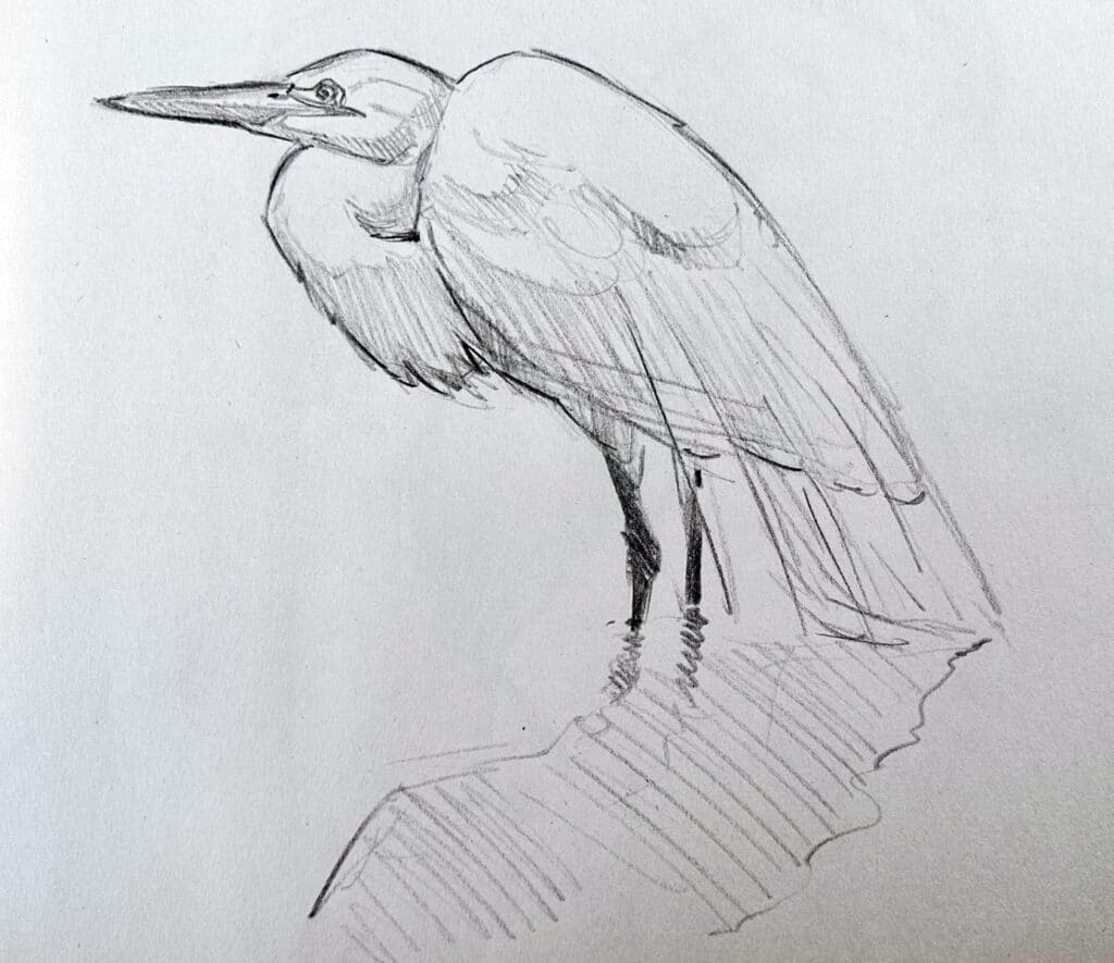 How to Draw Animals from LIFE: Secrets from Aaron Blaise