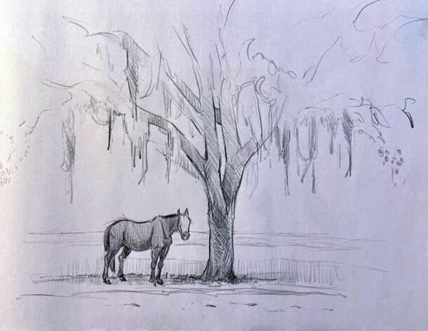 How to Draw Animals from LIFE: Secrets from Aaron Blaise