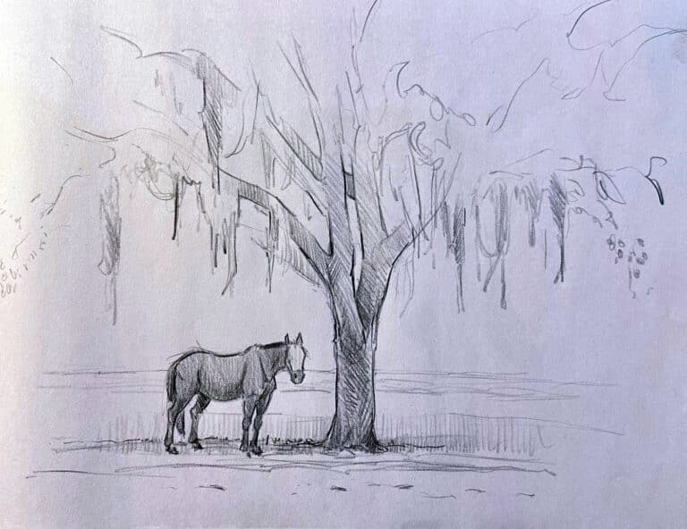 How to Draw Animals from LIFE: Secrets from Aaron Blaise